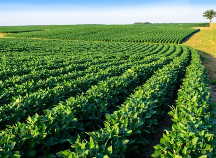 Learn More About Plant Protection Formulations – Part 3 ...